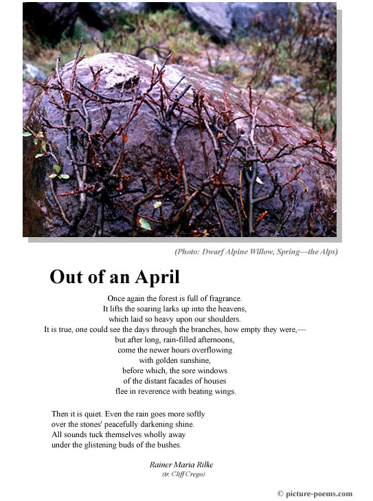 ‘In April’ by Rainer Maria Rilke — Ned Hamson’s Second Line View of the ...