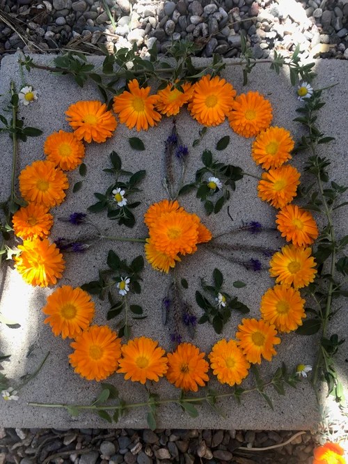 When Artists Play With Nature. – UNIVERSE